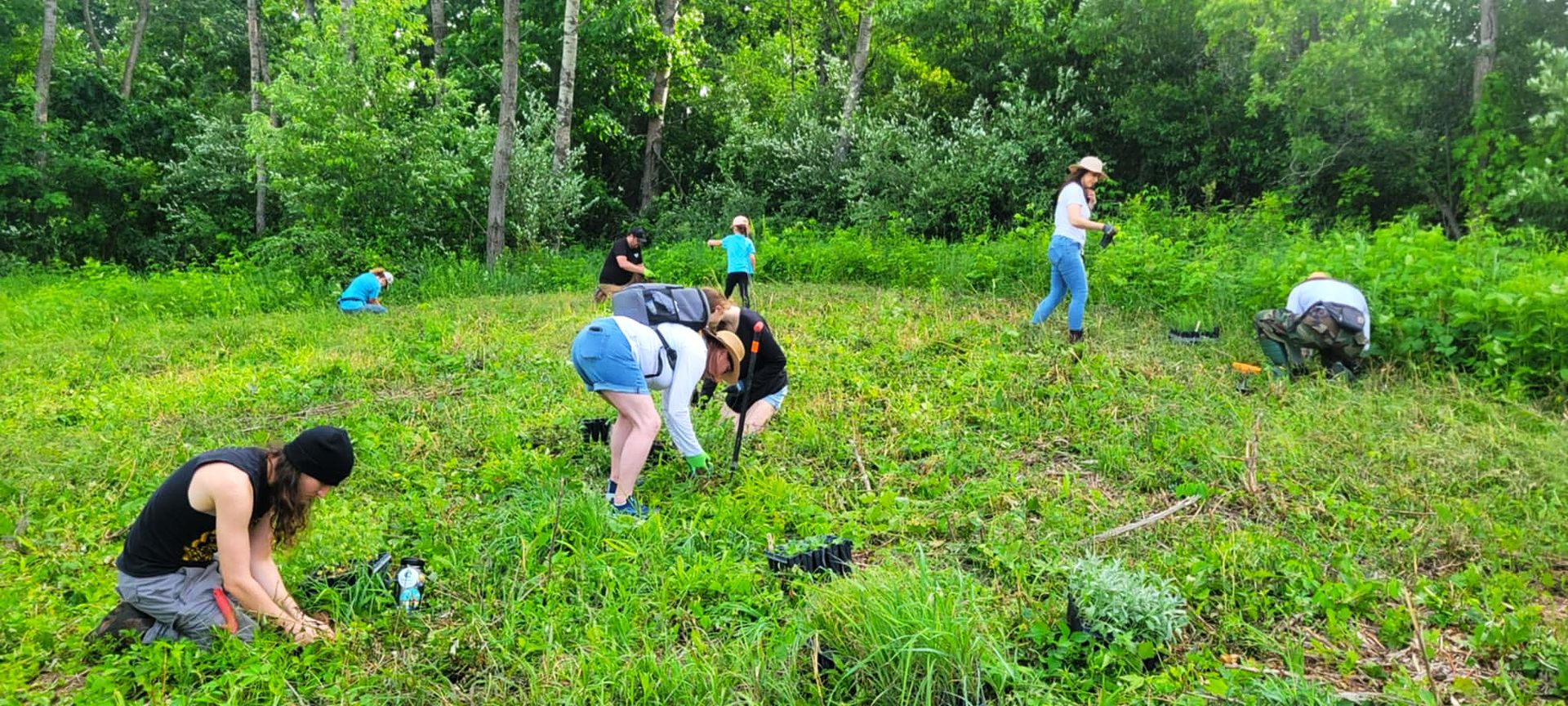 On the Ground: Native Plug Planting at Pierce Cedar Creek Institute