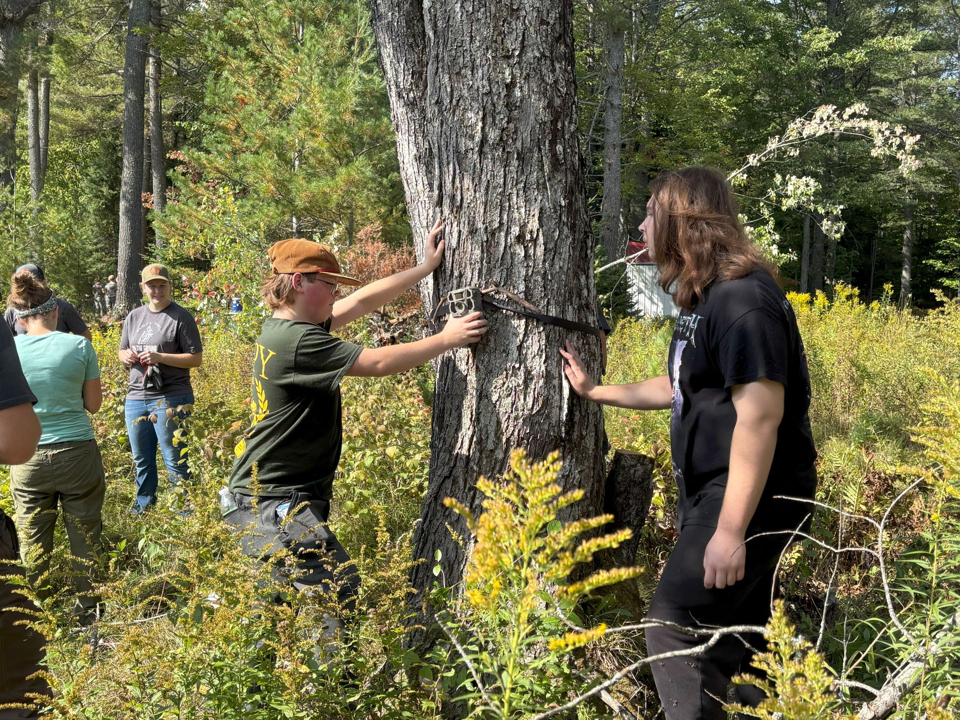 On the Ground: Brush Piles and Bat Houses at McMahon Lake Preserve
