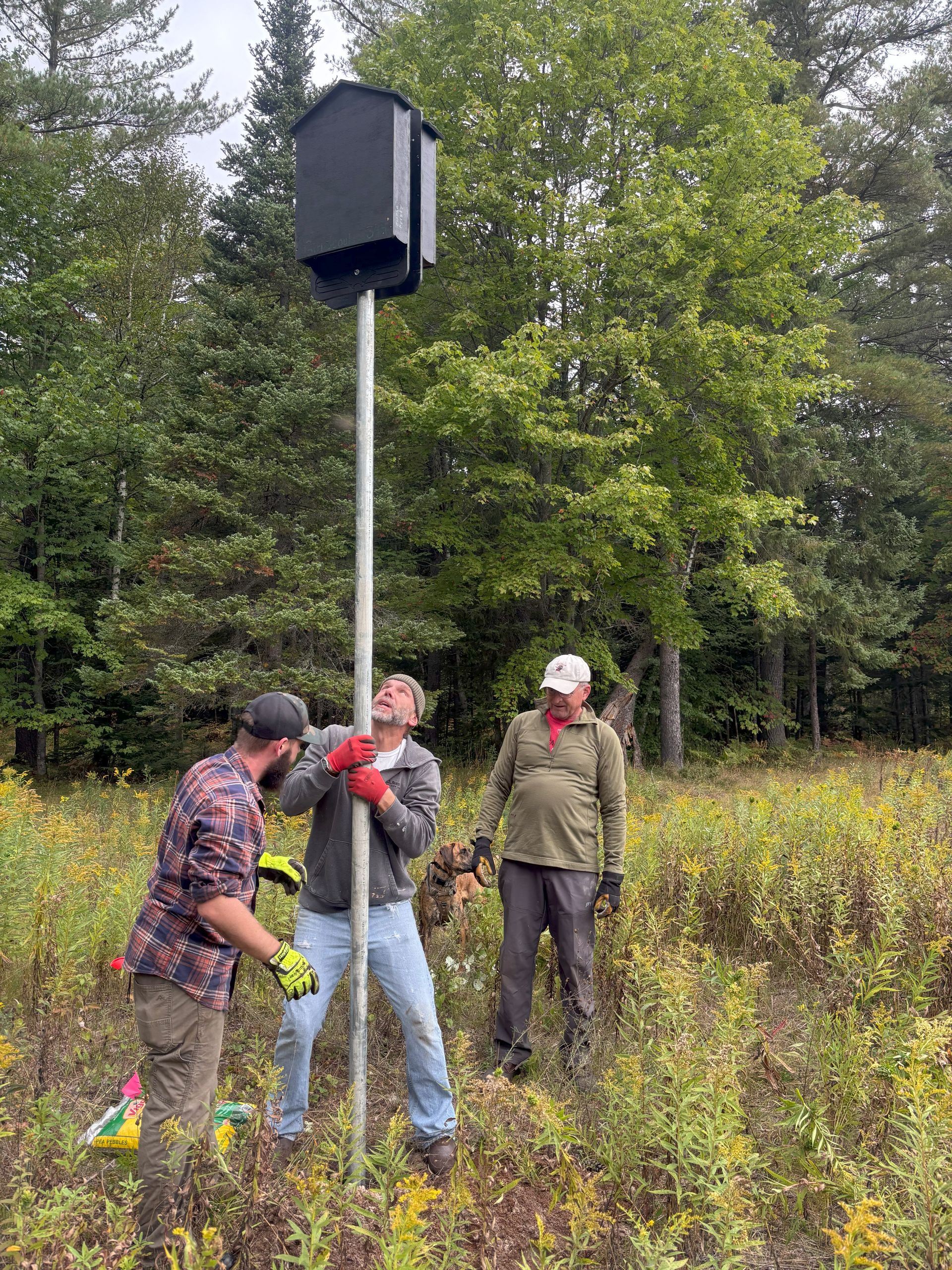 On the Ground: Brush Piles and Bat Houses at McMahon Lake Preserve