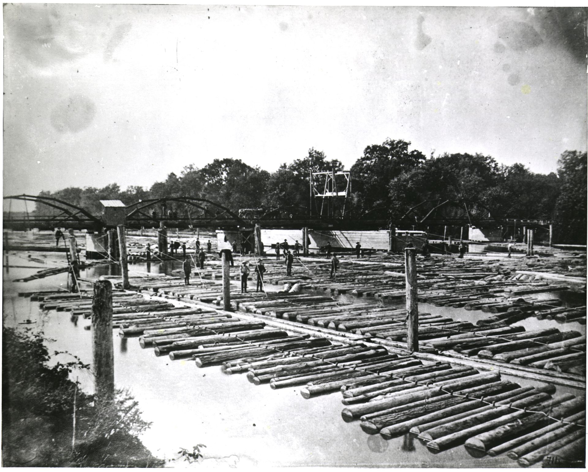 The Legacy of Michigan Logging