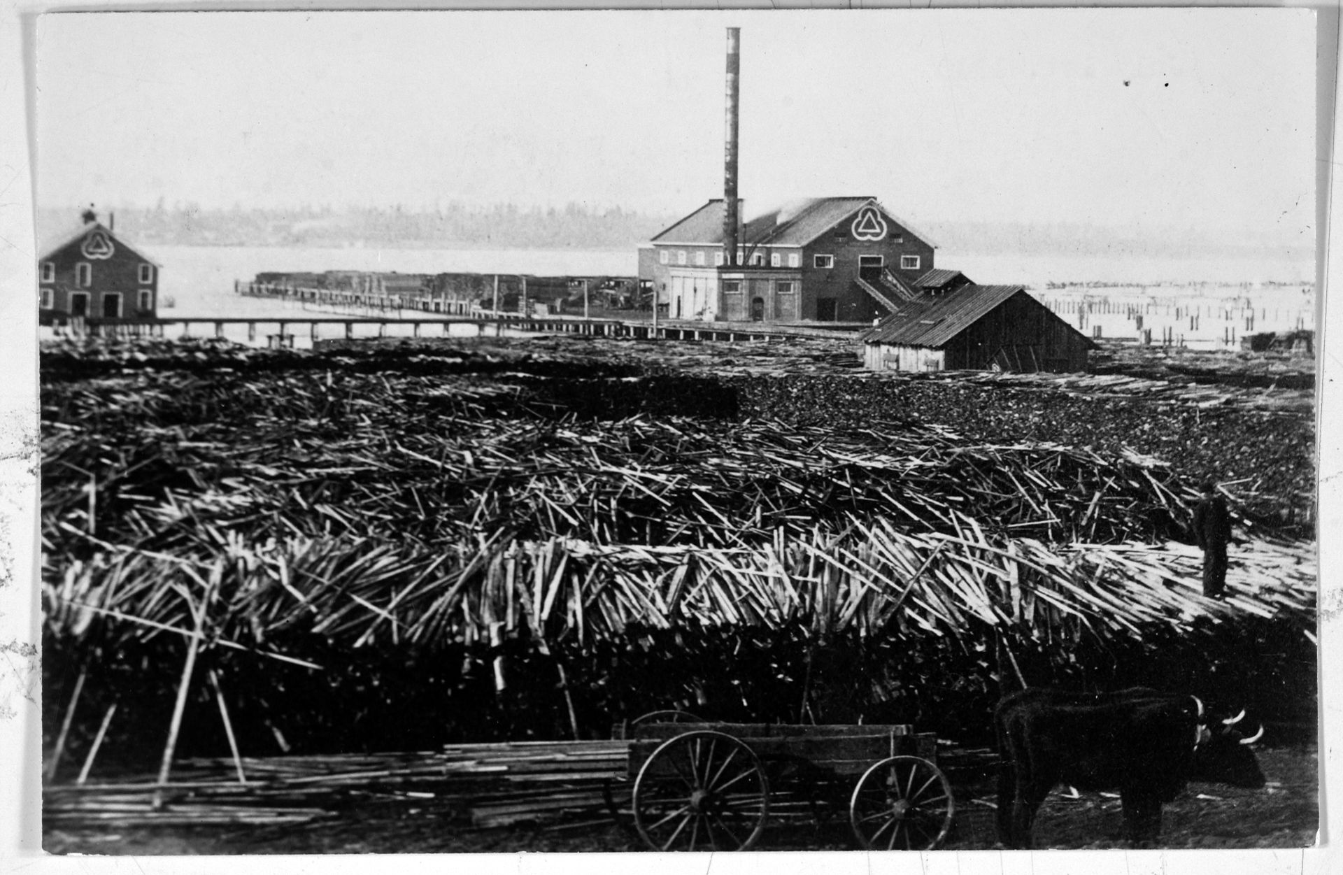The Legacy of Michigan Logging