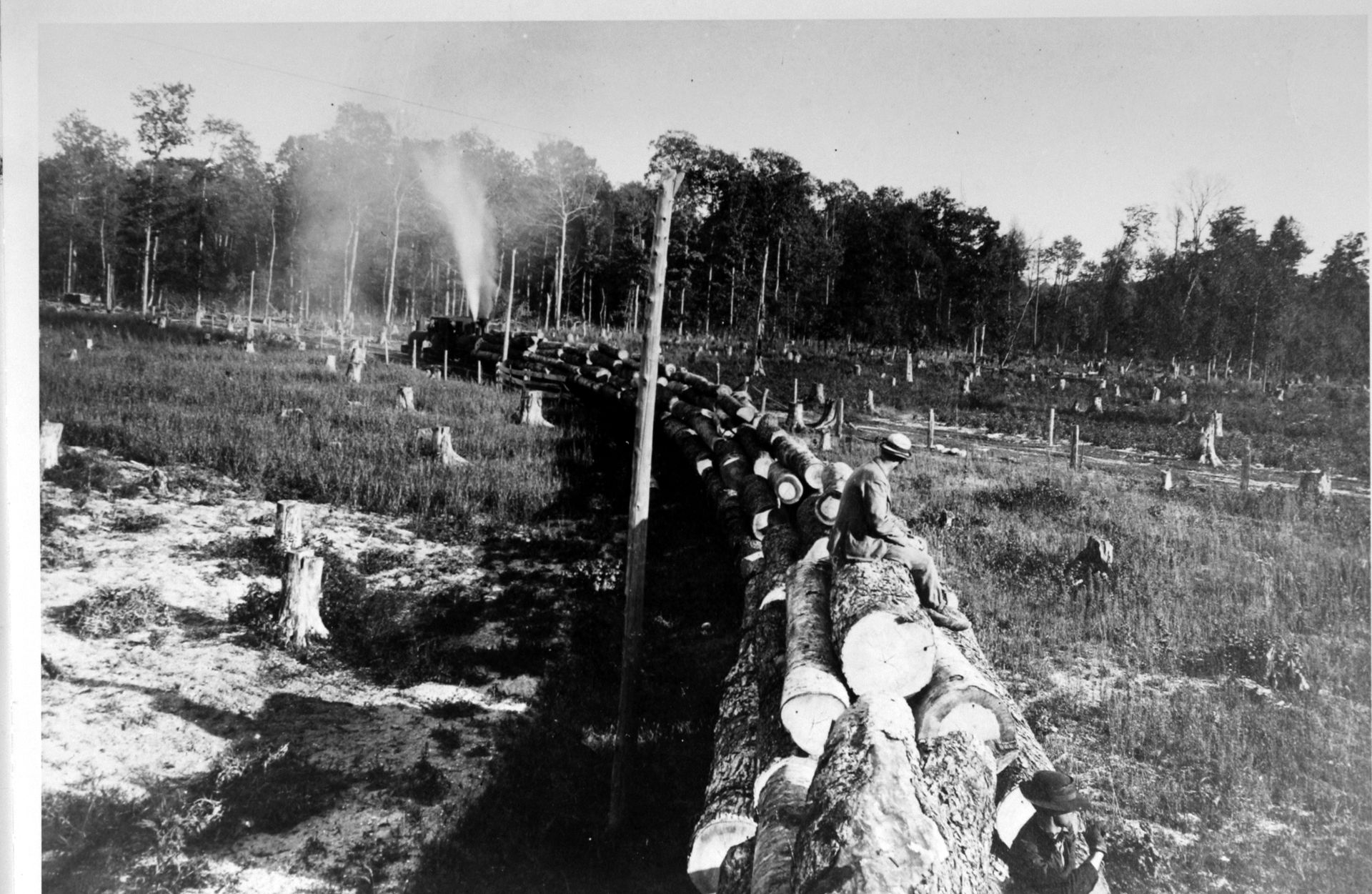 The Legacy of Michigan Logging