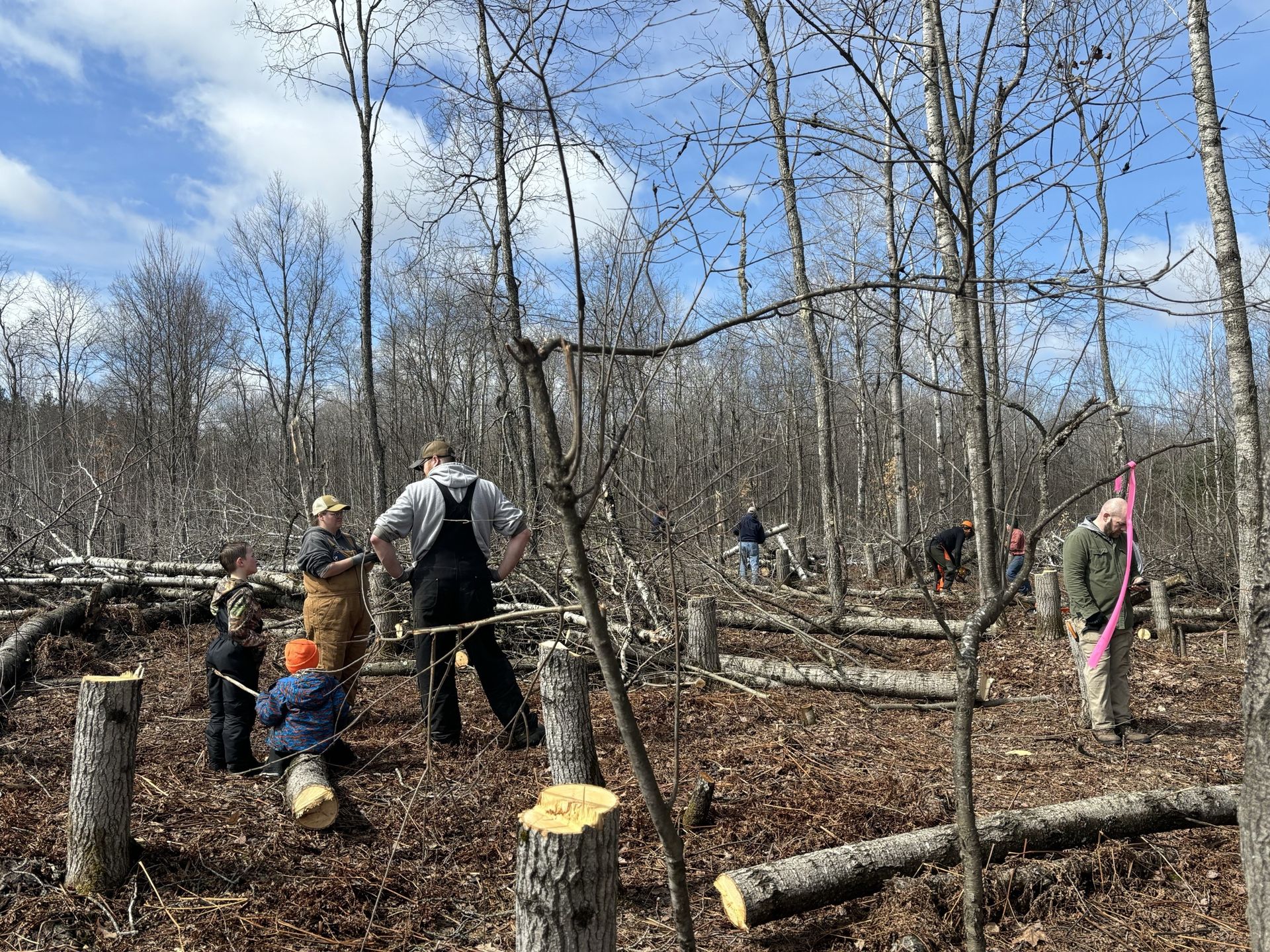On the Ground: Brush Piles & Edge Feathering in the Traverse City ...