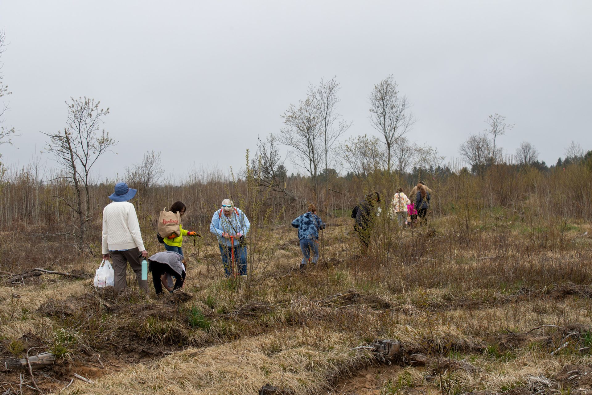 On the Ground: Annual Jack Pine Planting Day at the Grayling Forest ...