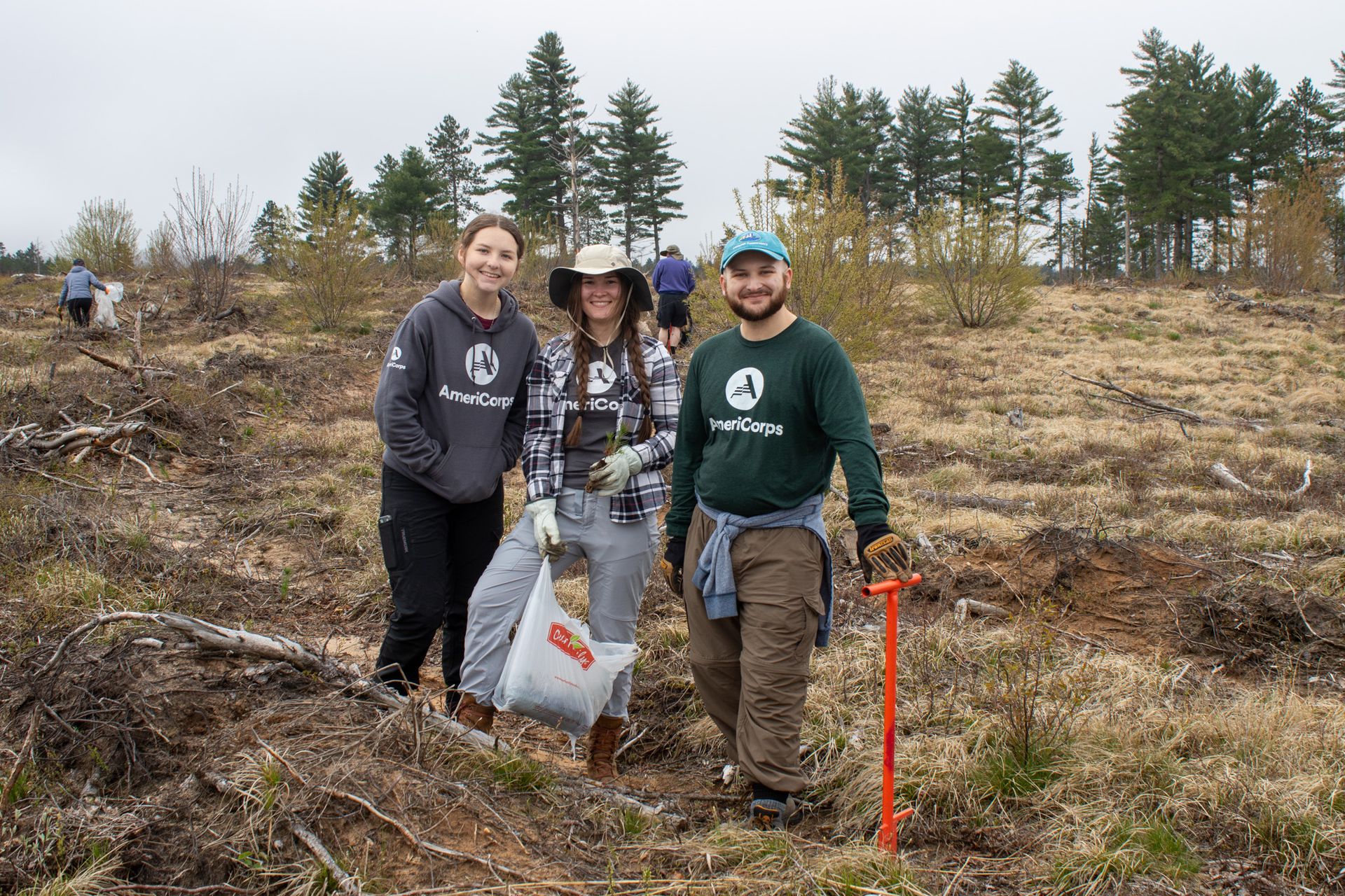 On the Ground: Annual Jack Pine Planting Day at the Grayling Forest ...