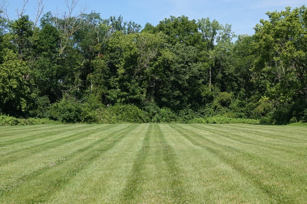 Lawn Mowing in Wagga Wagga | Land to Mow Garden Services Wagga