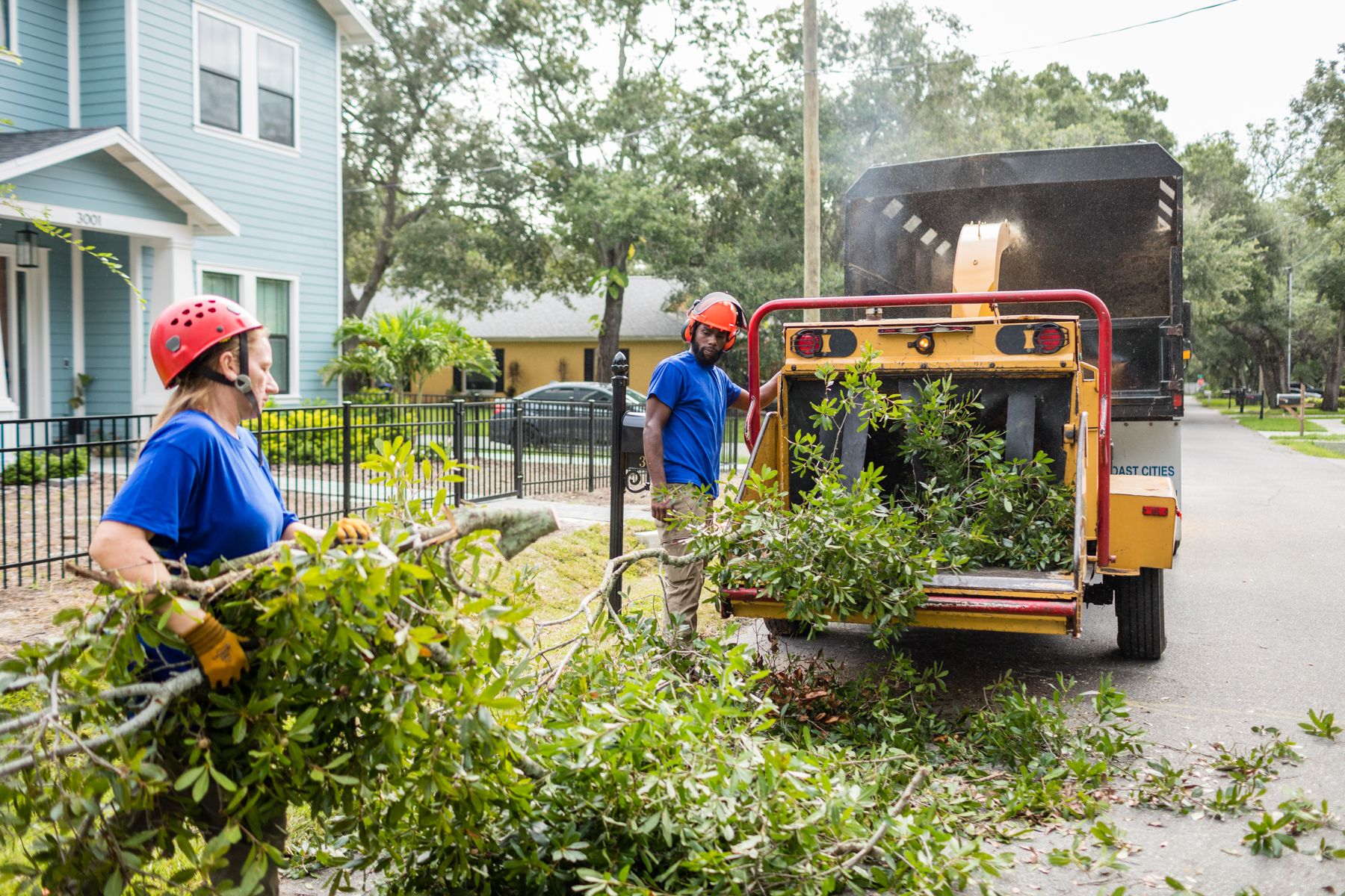 Tampa Bay Tree Service - Gulf Coast Trees Inc