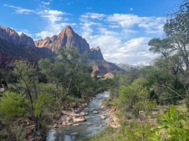 Zion National Park Transportation Guide (2026): Shuttles, Parking & How ...