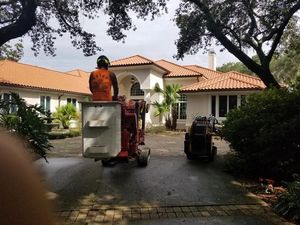 Tates Tree Service – Mary Esther, FL
