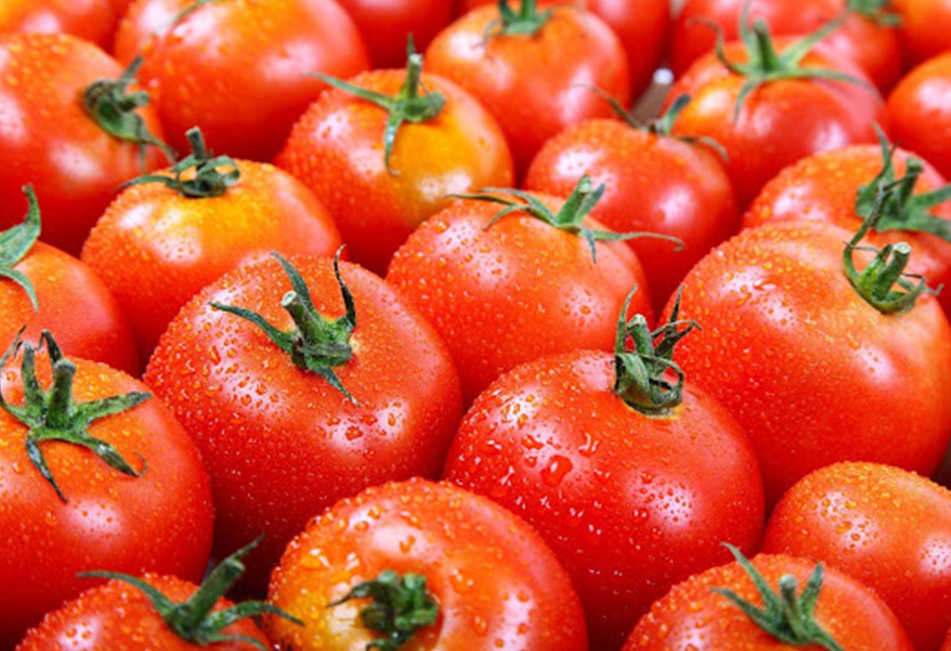 Fresh Vegetables & Fruits Suppliers | Mitchell's Fruit