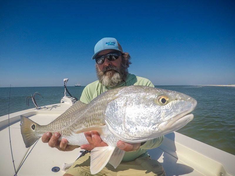 7 Fascinating Facts About the Redfish