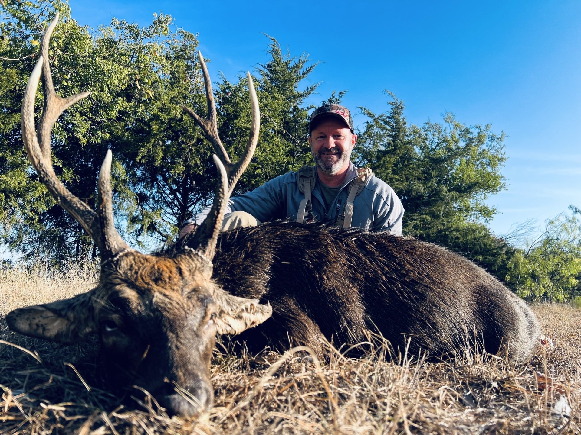 Texas Sika Deer Hunting | MMK Outfitters