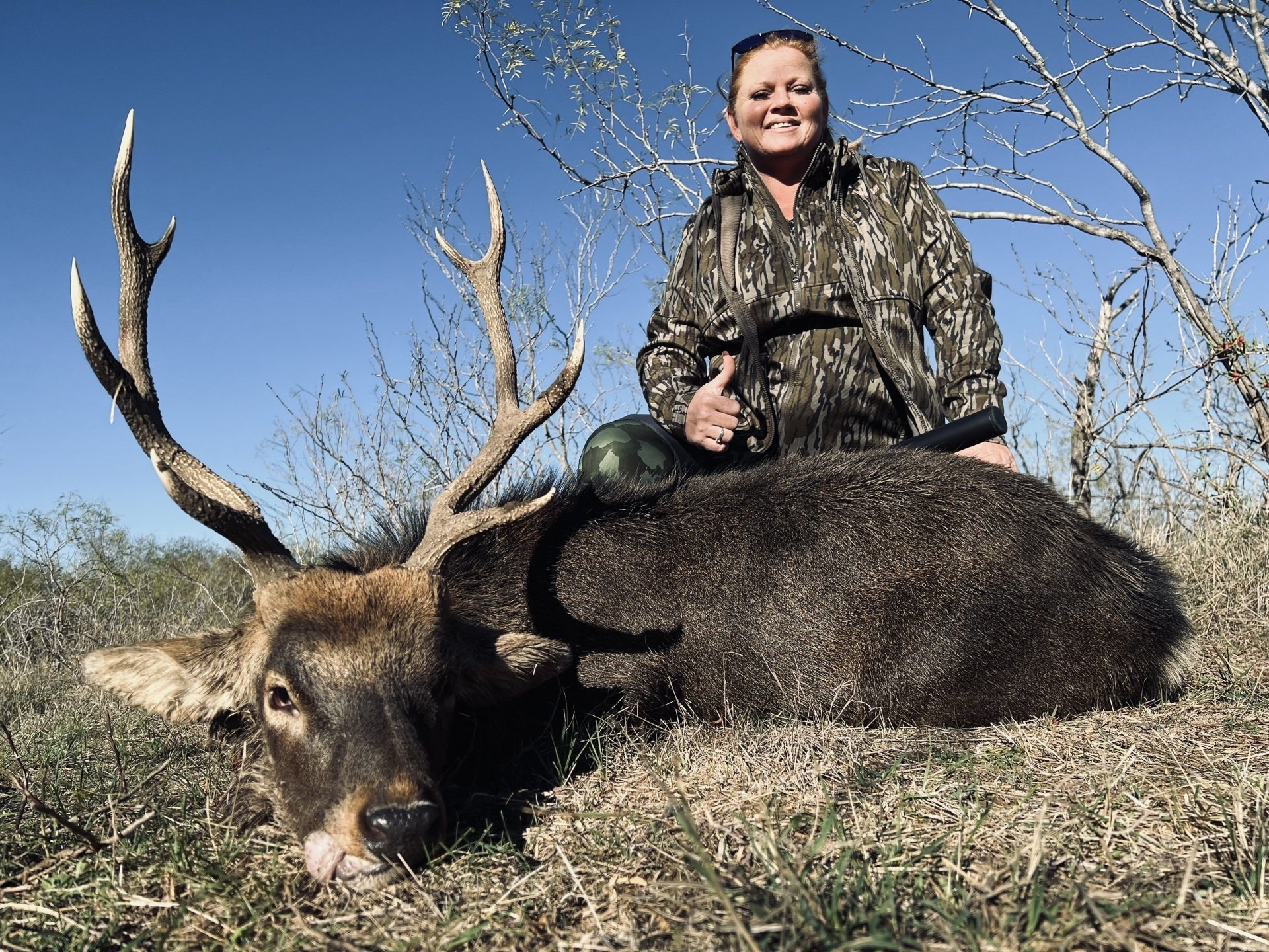 Texas Sika Deer Hunting | MMK Outfitters