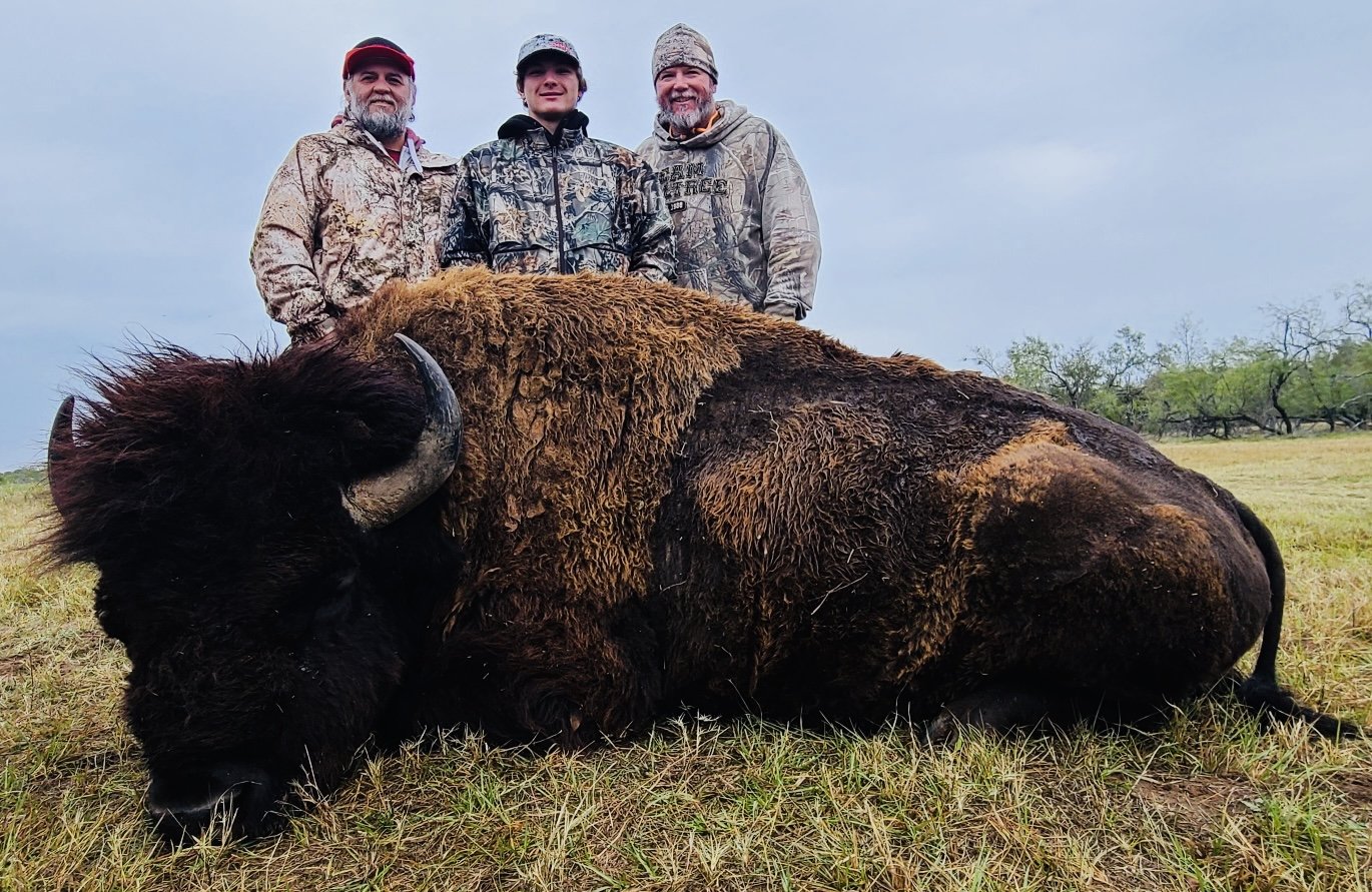 Texas American Bison Hunting | MMK Outfitters