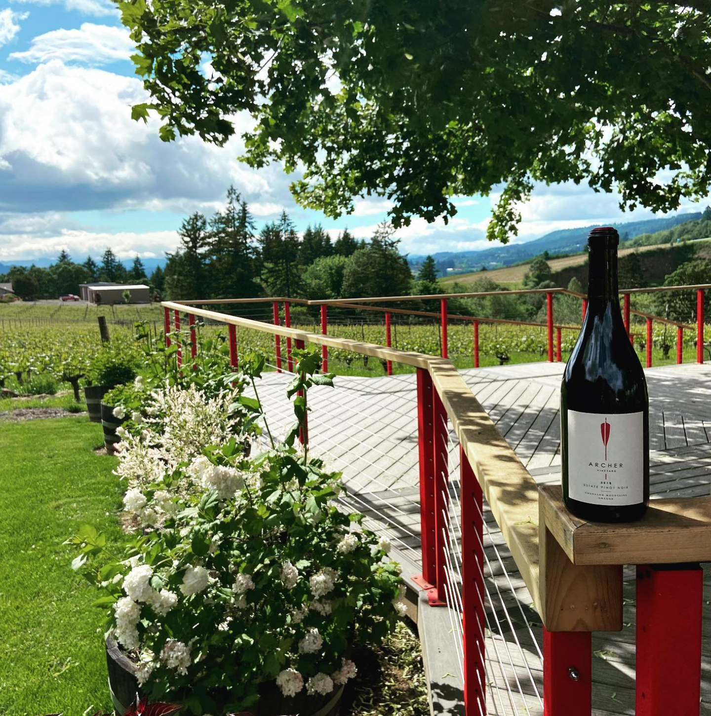 Wine Destination | Archer Vineyard | Chehalem Mtns