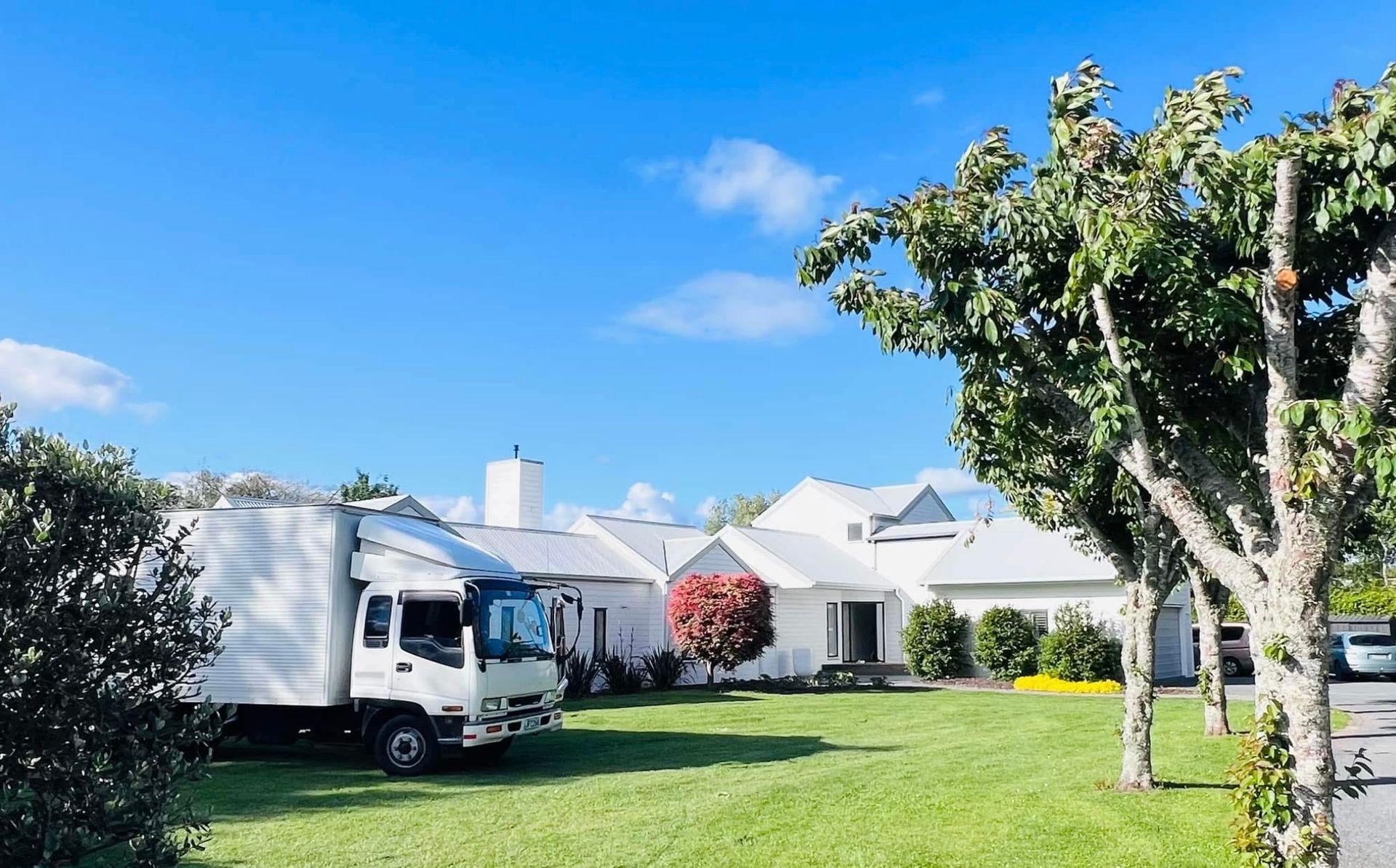 Furniture Removals Hamilton | Alpha Movers