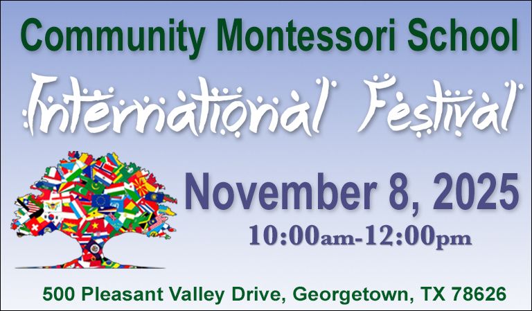 Montessori Model UN