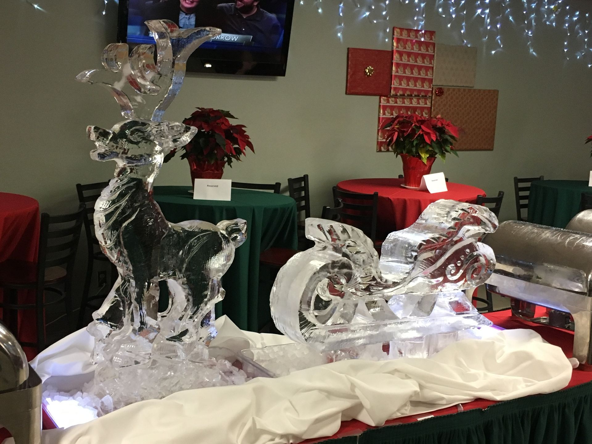 View Our Gallery | St. Petersburg, FL | Doggery Craft Ice