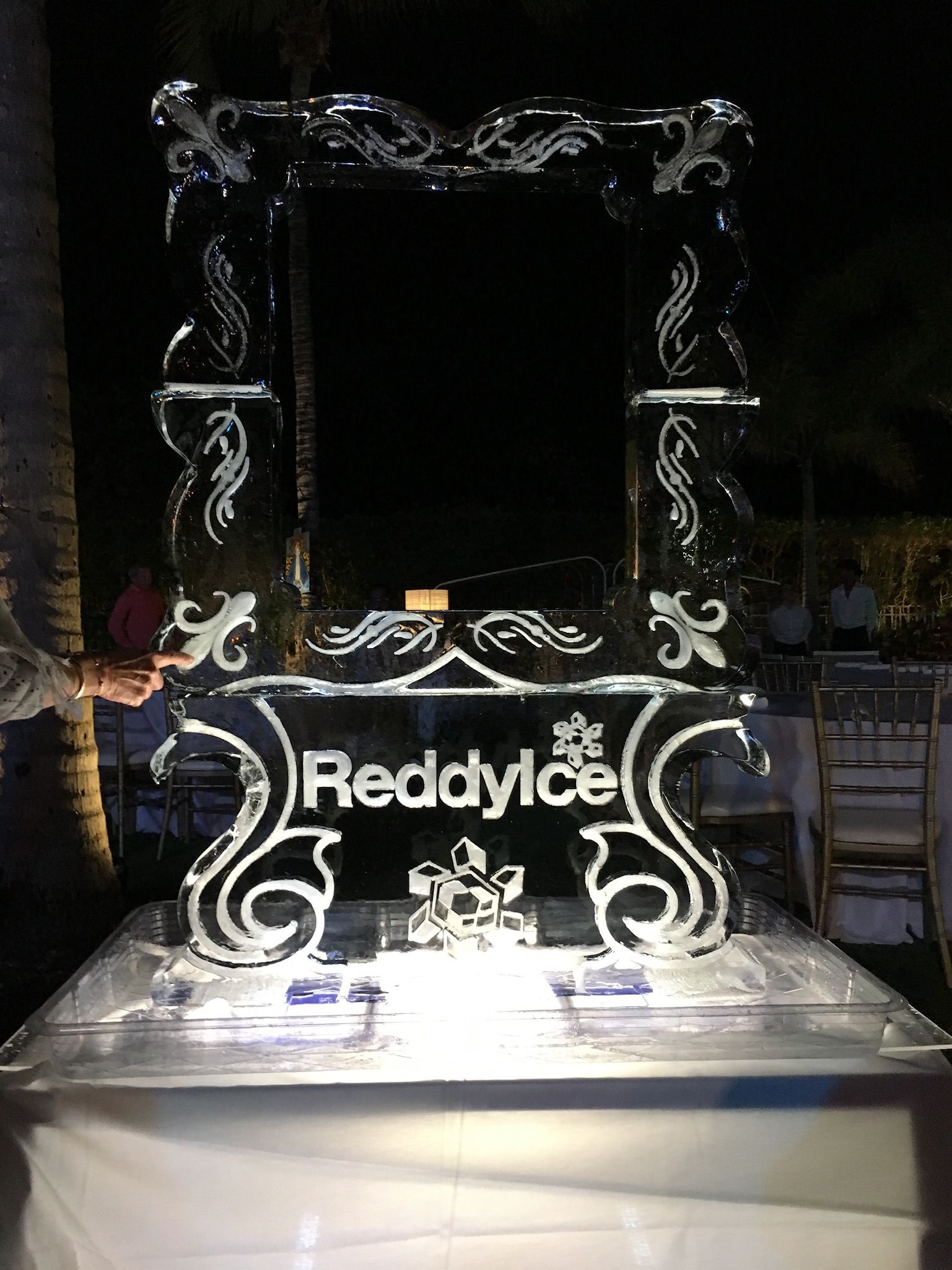 View Our Gallery | St. Petersburg, FL | Doggery Craft Ice