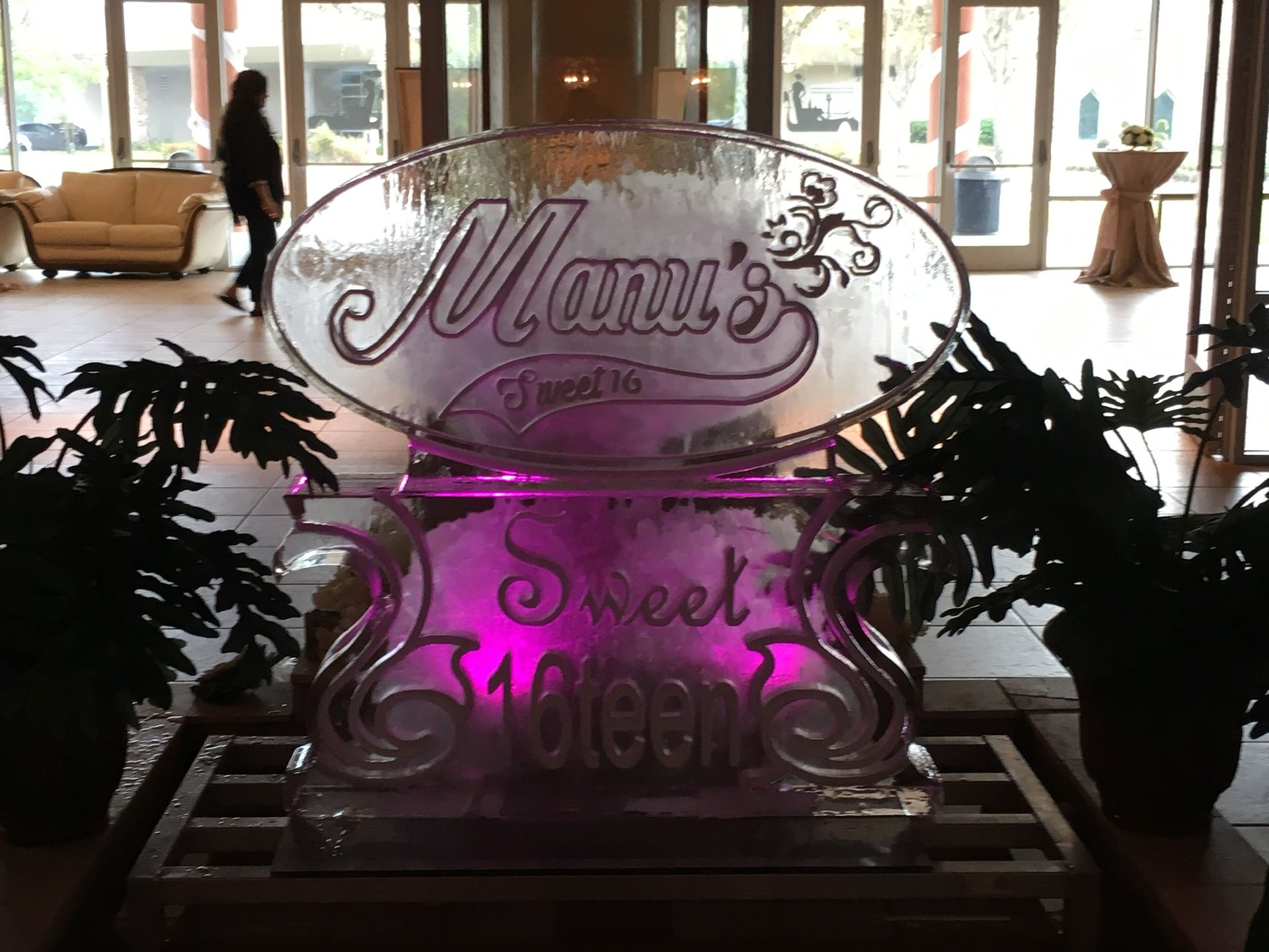 View Our Gallery | St. Petersburg, FL | Doggery Craft Ice