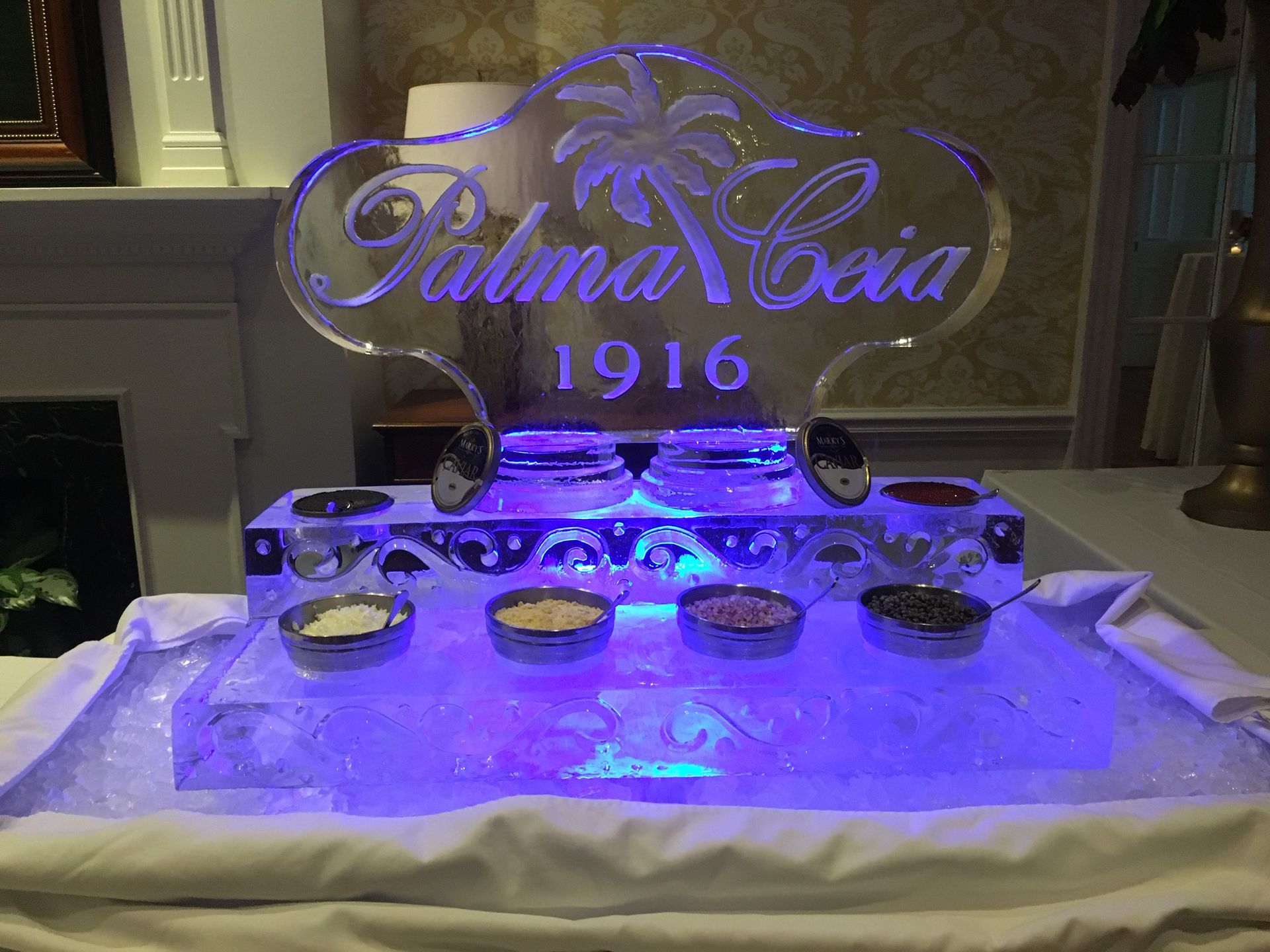 View Our Gallery | St. Petersburg, FL | Doggery Craft Ice