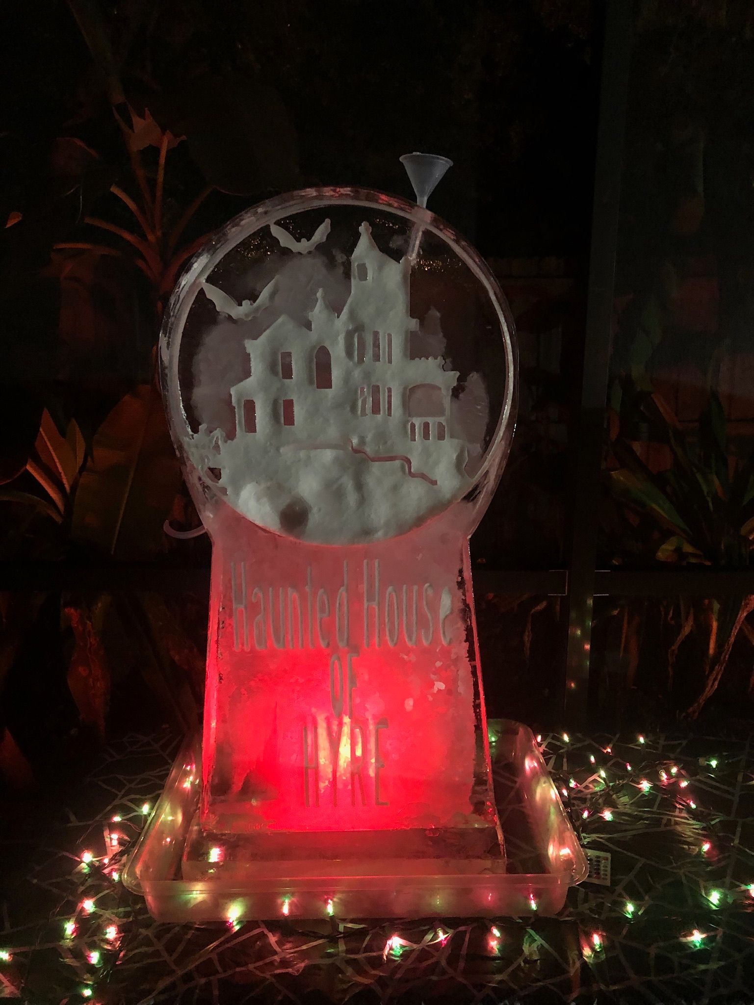 View Our Gallery | St. Petersburg, FL | Doggery Craft Ice