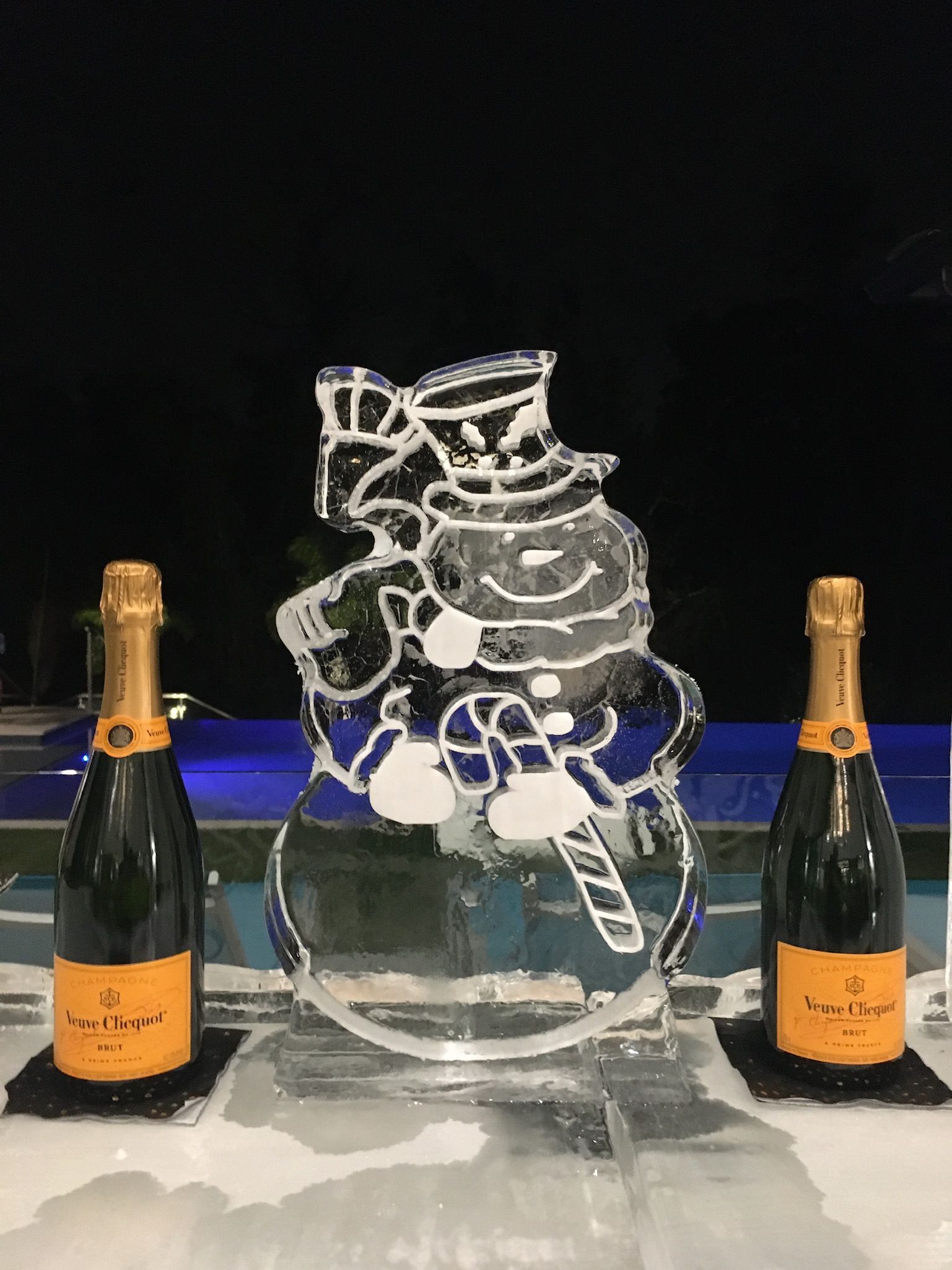 View Our Gallery | St. Petersburg, FL | Doggery Craft Ice