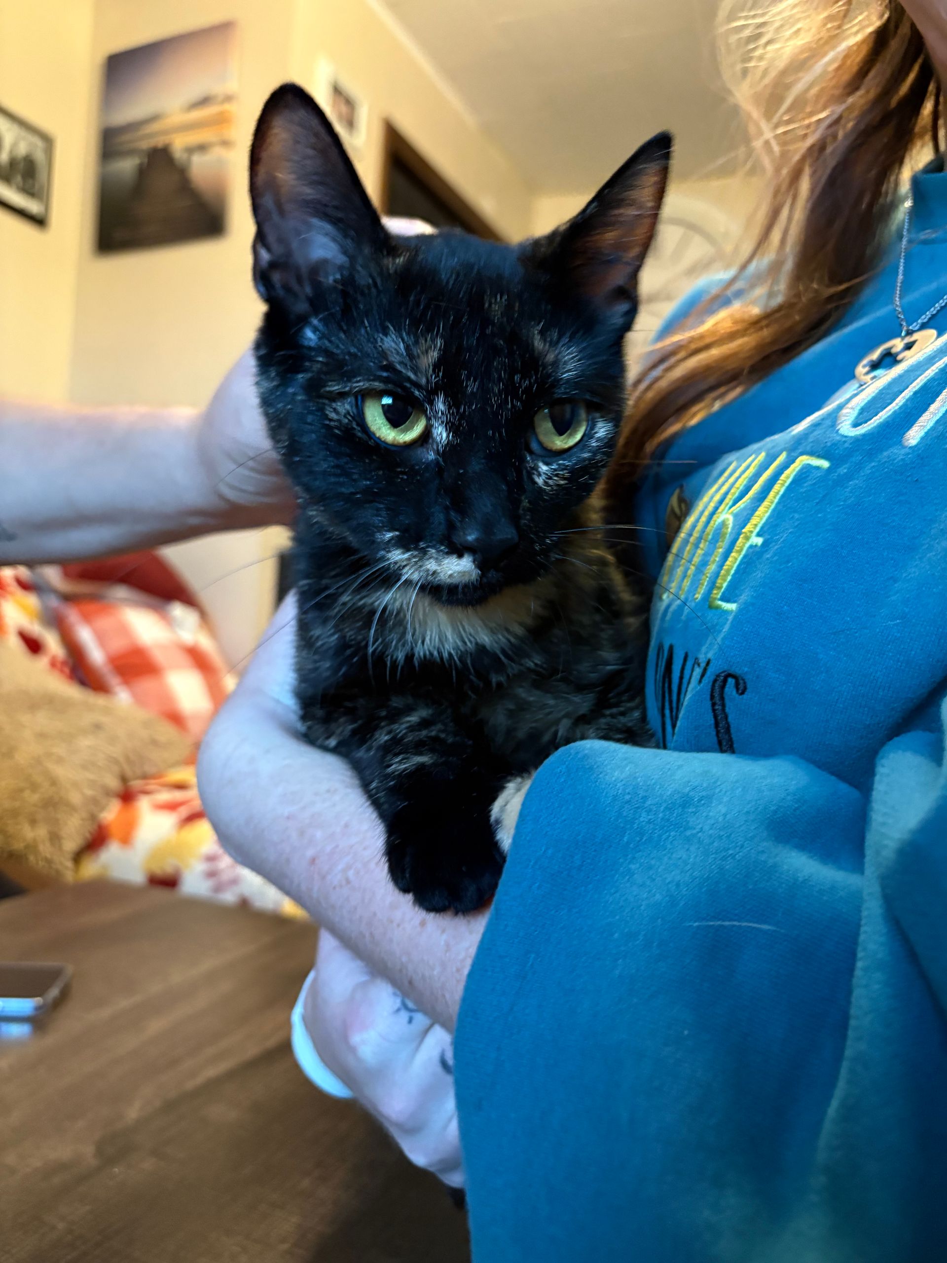 Adoptions