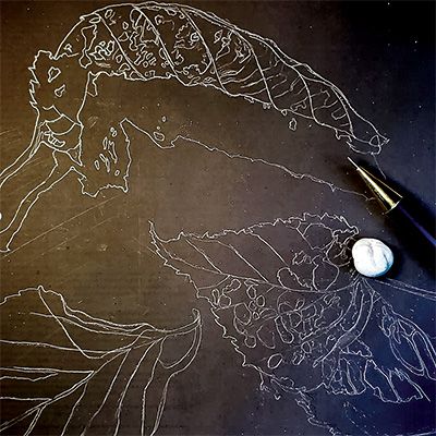 Scratchboard Illustration Techniques