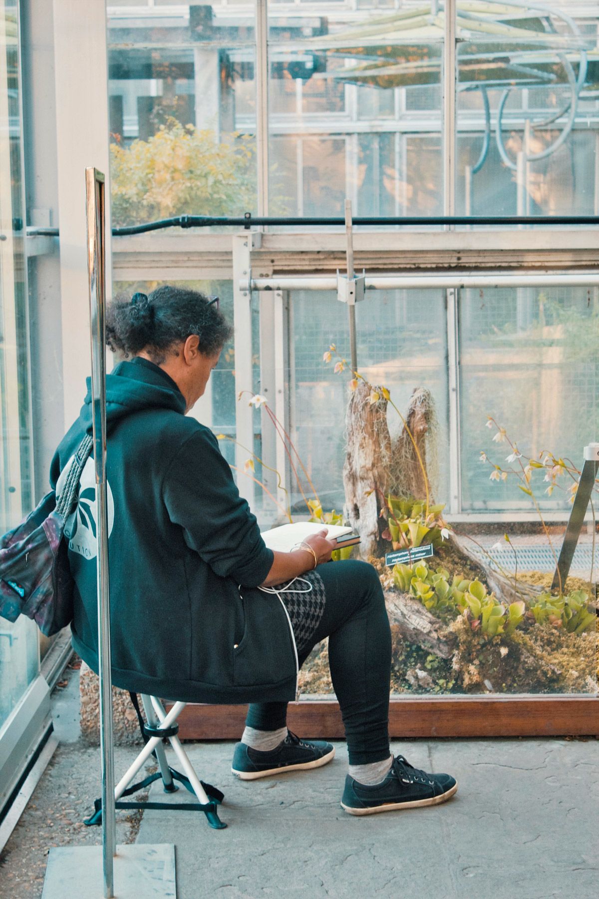 Botanical Sketching at the U.S. Botanical Gardens: A Creative Reunion