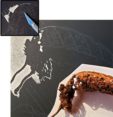 Scratchboard Illustration Techniques