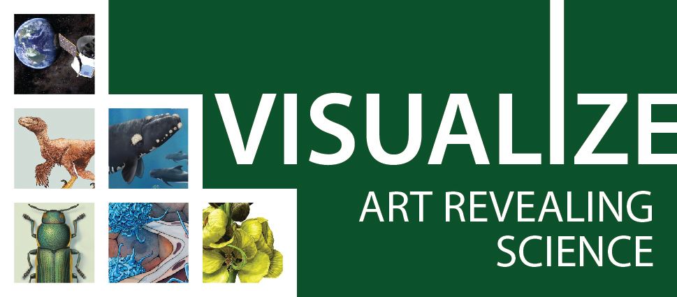 GNSI Image Galleries