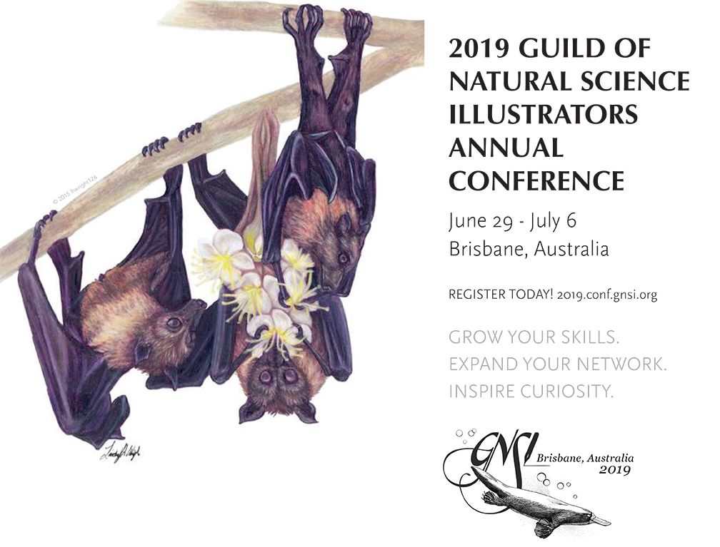 GNSI Image Galleries