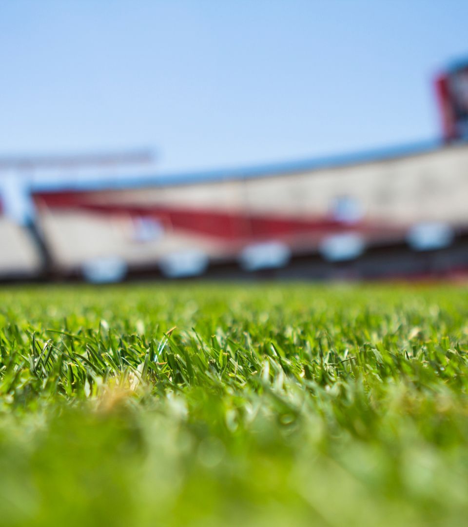 Sports Fields | Drainage Technology Solutions | Modesto