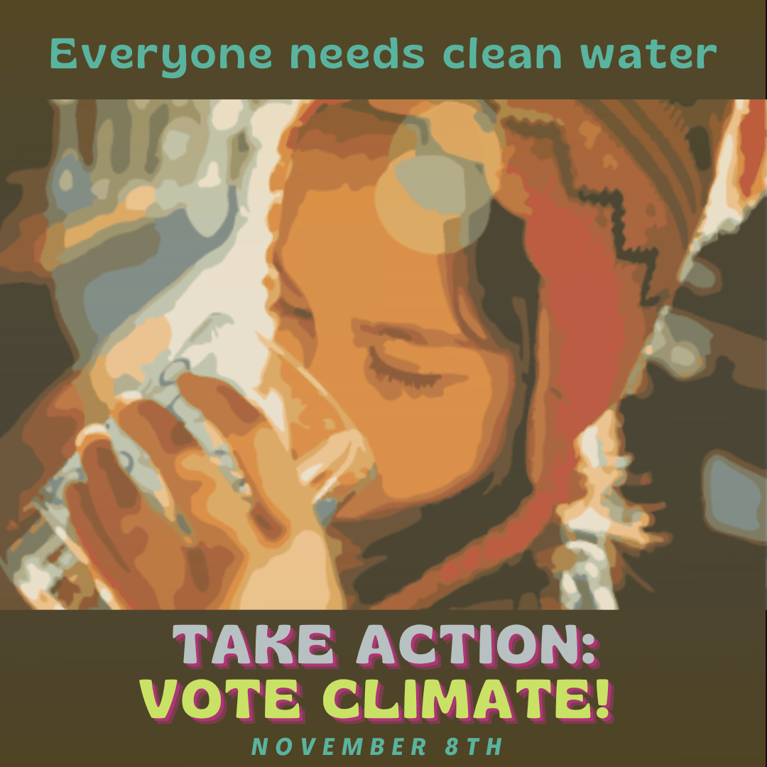 Campaign to get out the vote for climate candidates in 2022
