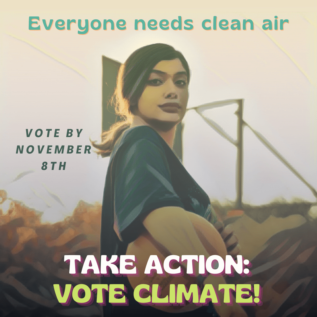 Campaign to get out the vote for climate candidates in 2022