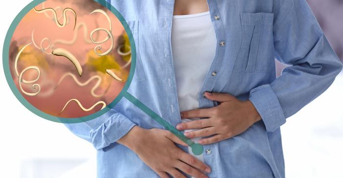 Parasite Cleansing Dr. Louis Granirer Chiropractor