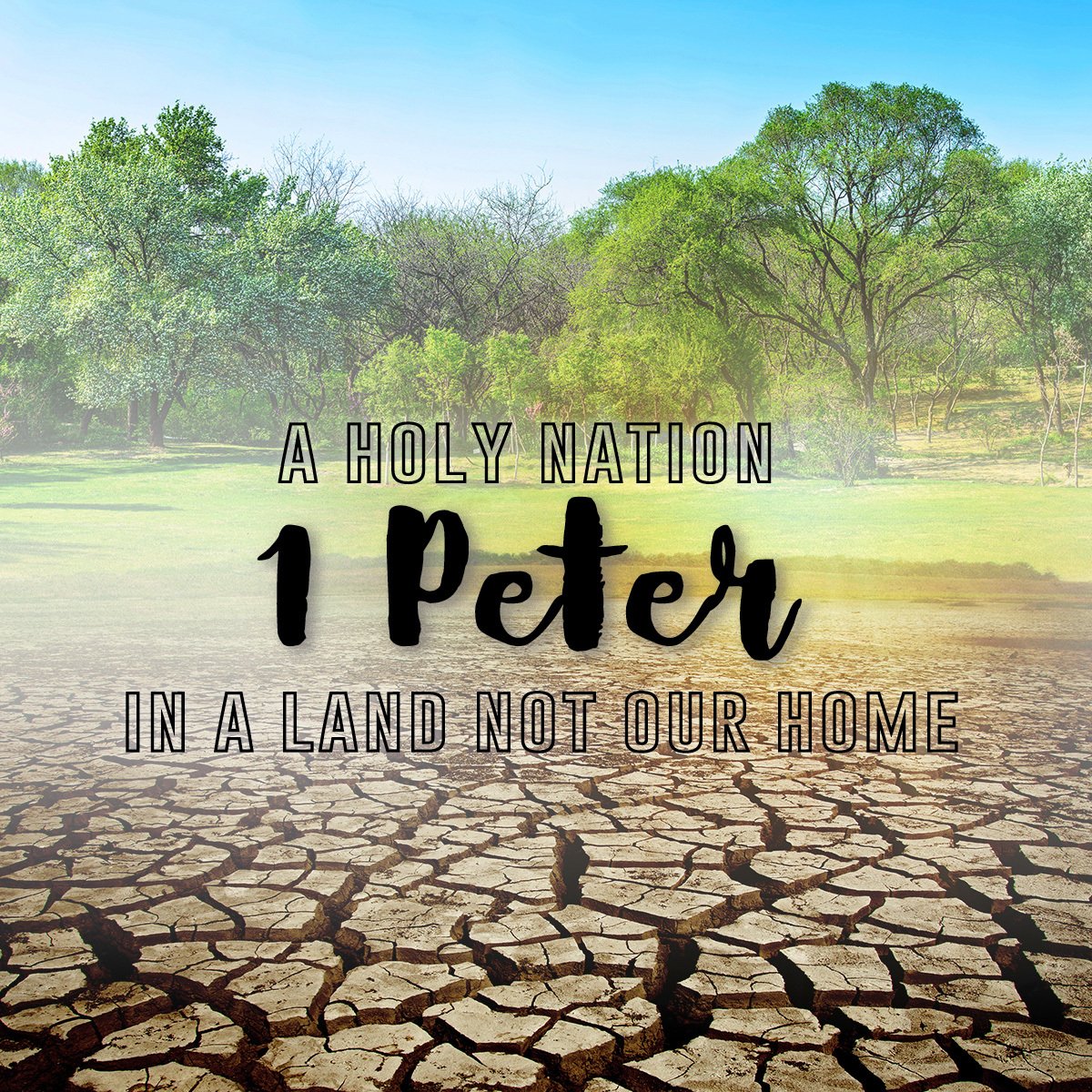 Community Bible Church Nashville