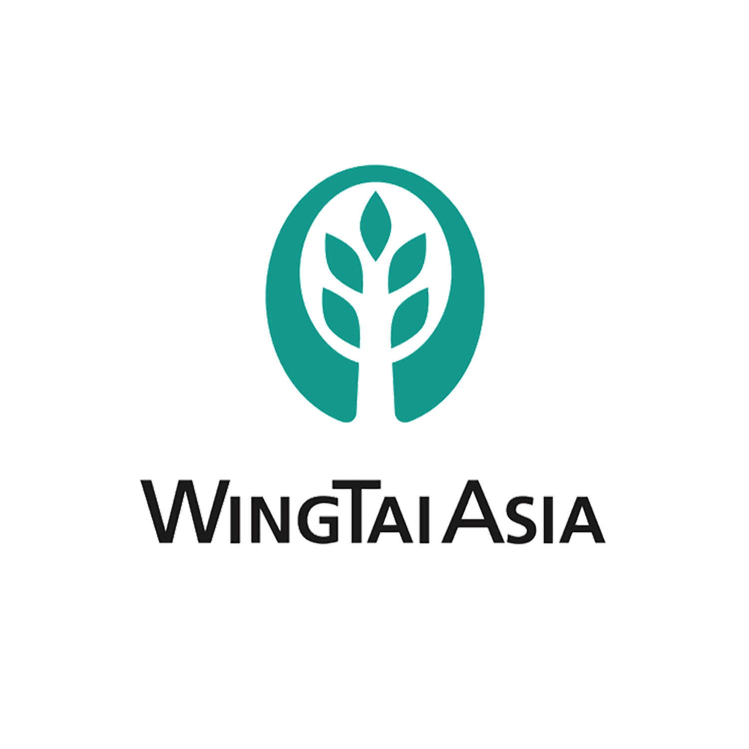 Home [www.tonghaiyang.com]