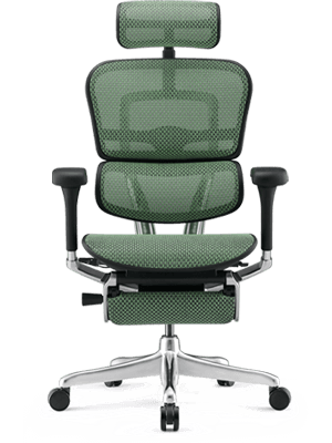 Ergohuman Elite G2 | Globally-acclaimed ergonomic office chair
