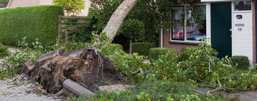 Storm Damage Restoration in Austin TX | WOW Total Cleaning & Restoration