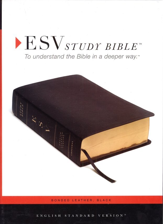 Amazing Deals On Bibles | Warren, Michigan | Discount Bible Book ...