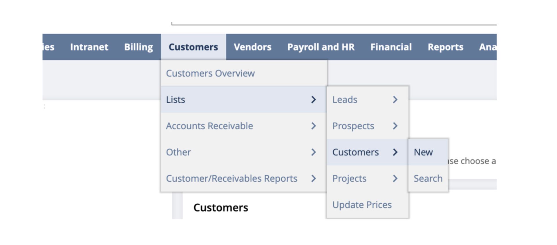 Step-By-Step Guide to Creating a Customer Record in NetSuite
