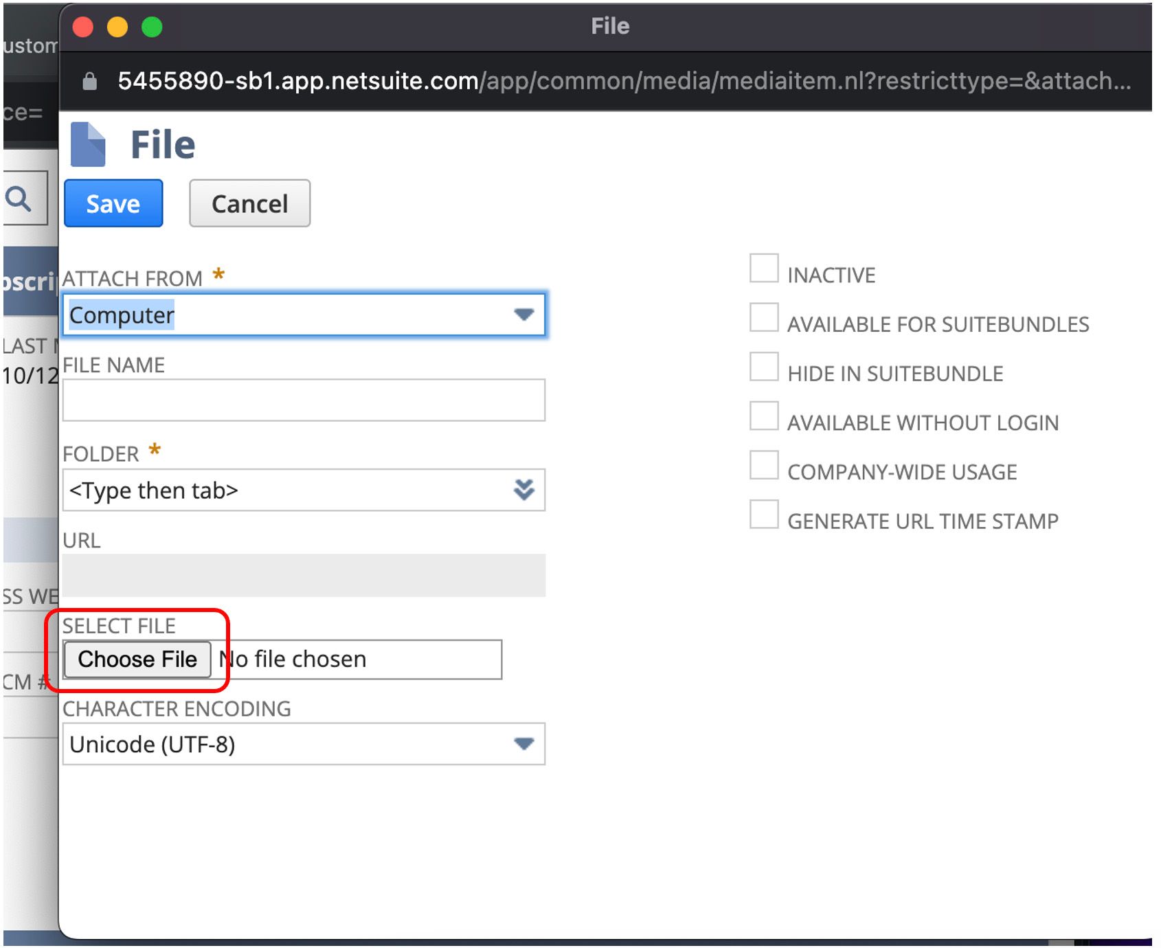 Step-By-Step Guide to Creating a Customer Record in NetSuite
