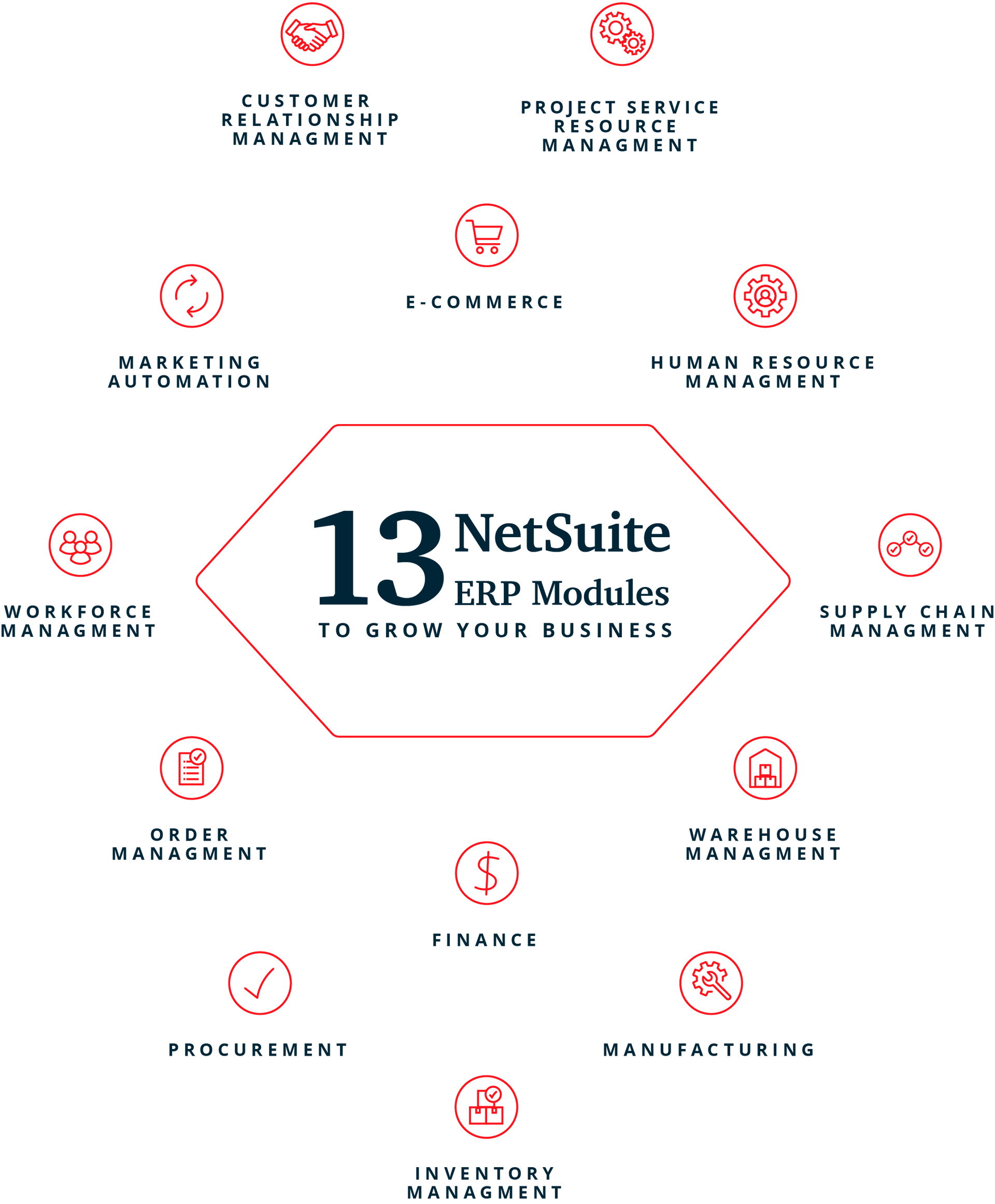 NetSuite Consultants and Trusted Alliance Partners