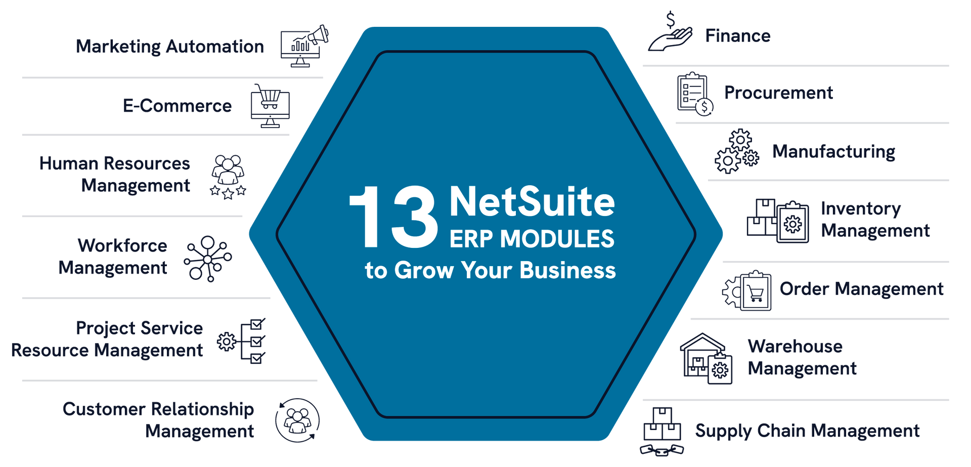 NetSuite Consultants and Trusted Alliance Partners