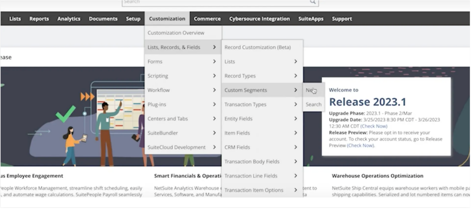 NetSuite Custom Segments: Track and Report Data Like Never Before
