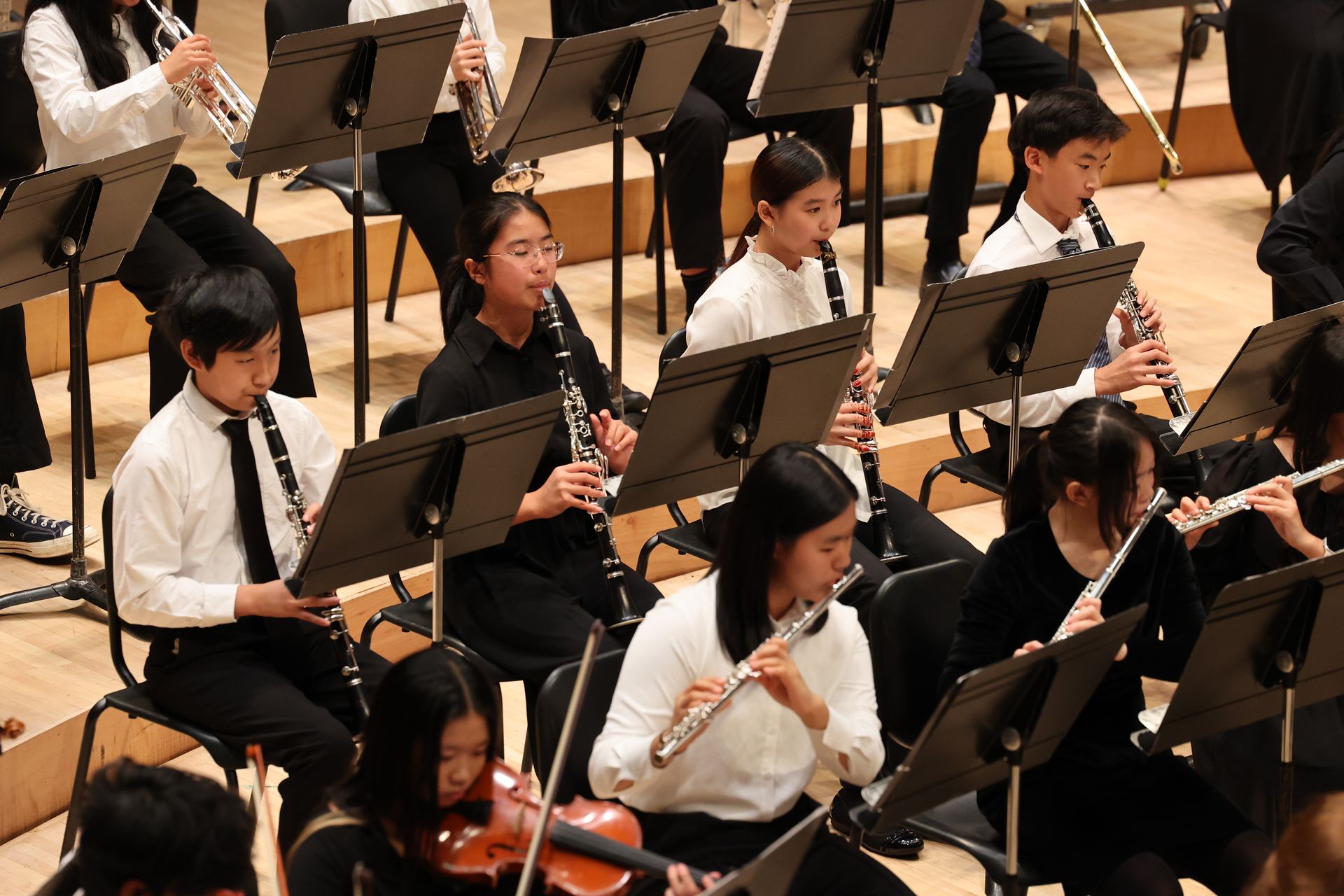 Programs | Triangle Youth Music