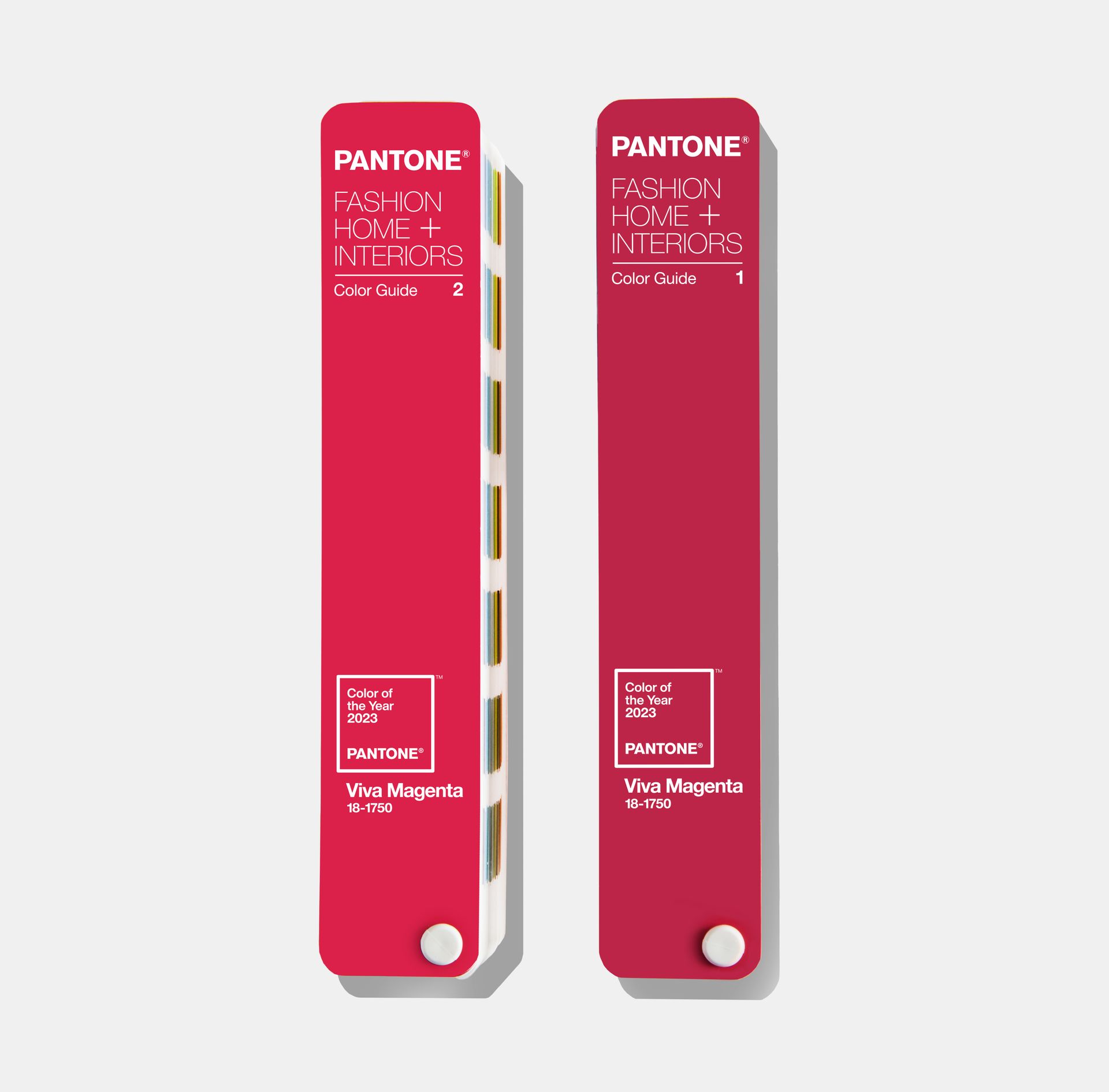 Viva Magenta - Color of the Year 2023