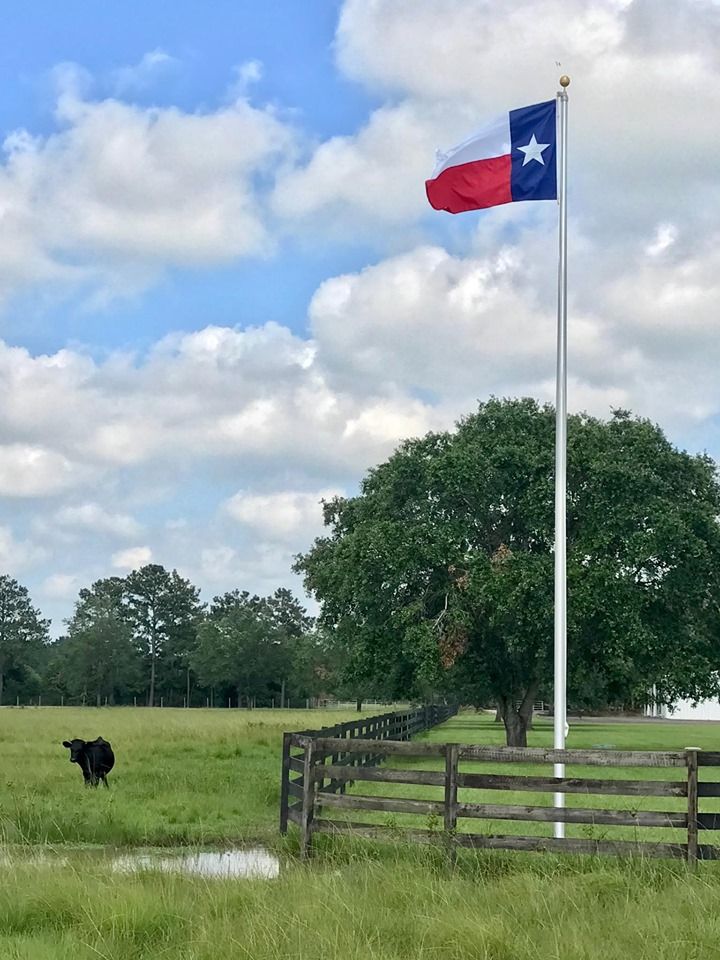 Lone Star Flags and Flagpoles Gallery | Galveston, TX